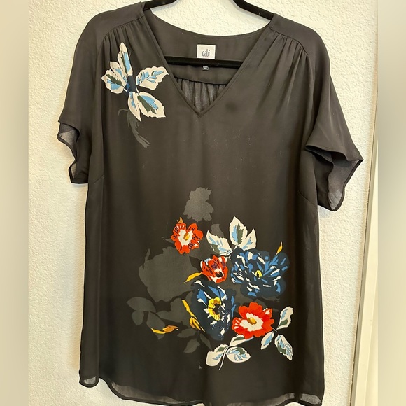 CAbi | Tops | Cabi Large Sheer Blouse | Poshmark